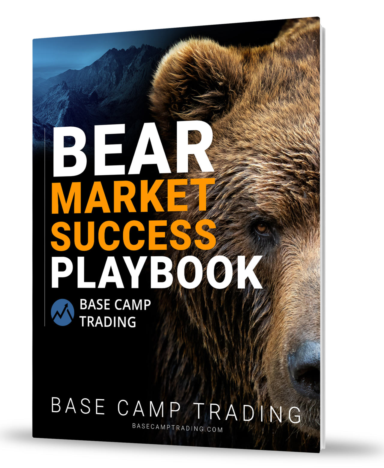 Bear Market Success Guide - Base Camp Trading
